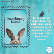 Peacebunny Island - Inspire-Truth
