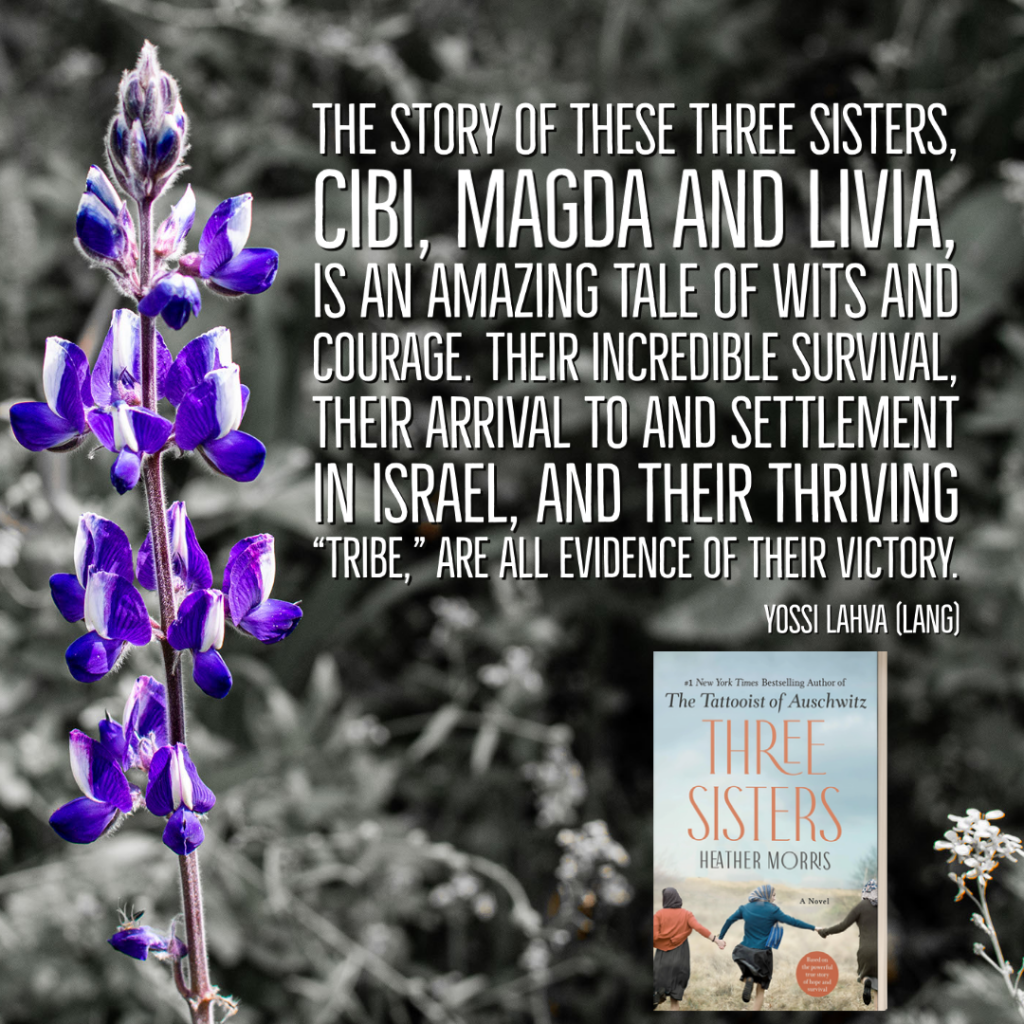 Three Sisters (The Tattooist of Auschwitz: Book Three - Includes ...